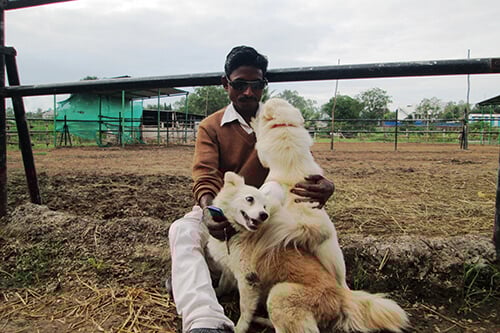 Shali and Rani: From a Cruel Circus to a Loving Home - Animal Rahat