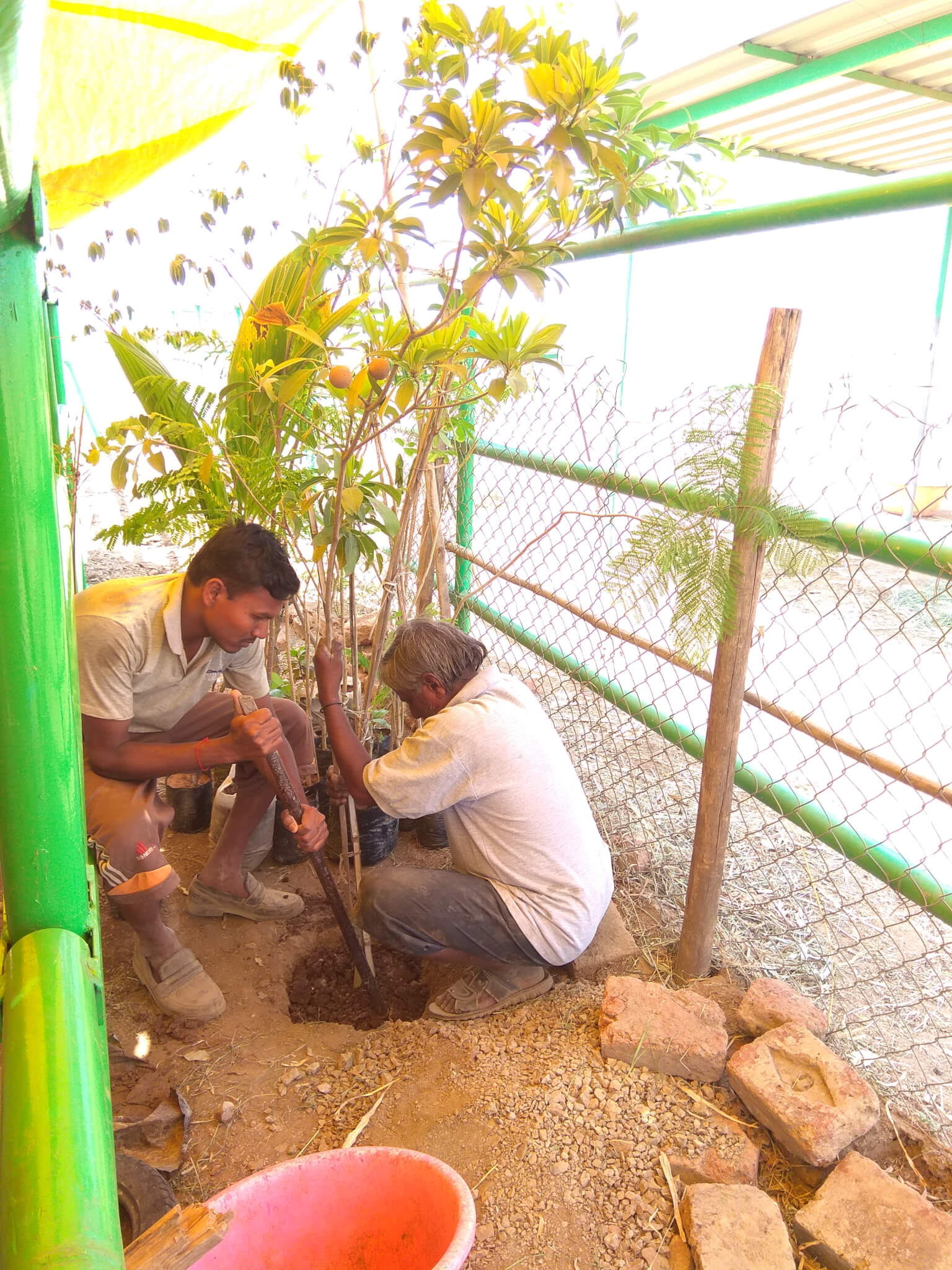 Sanctuary Infrastructure Update - Animal Rahat