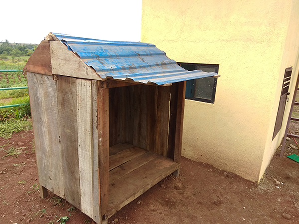 Post-Monsoon Season: A Sanctuary Update - Animal Rahat
