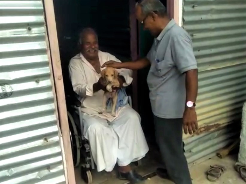 Homeless Puppy Is Homeless No More - Animal Rahat