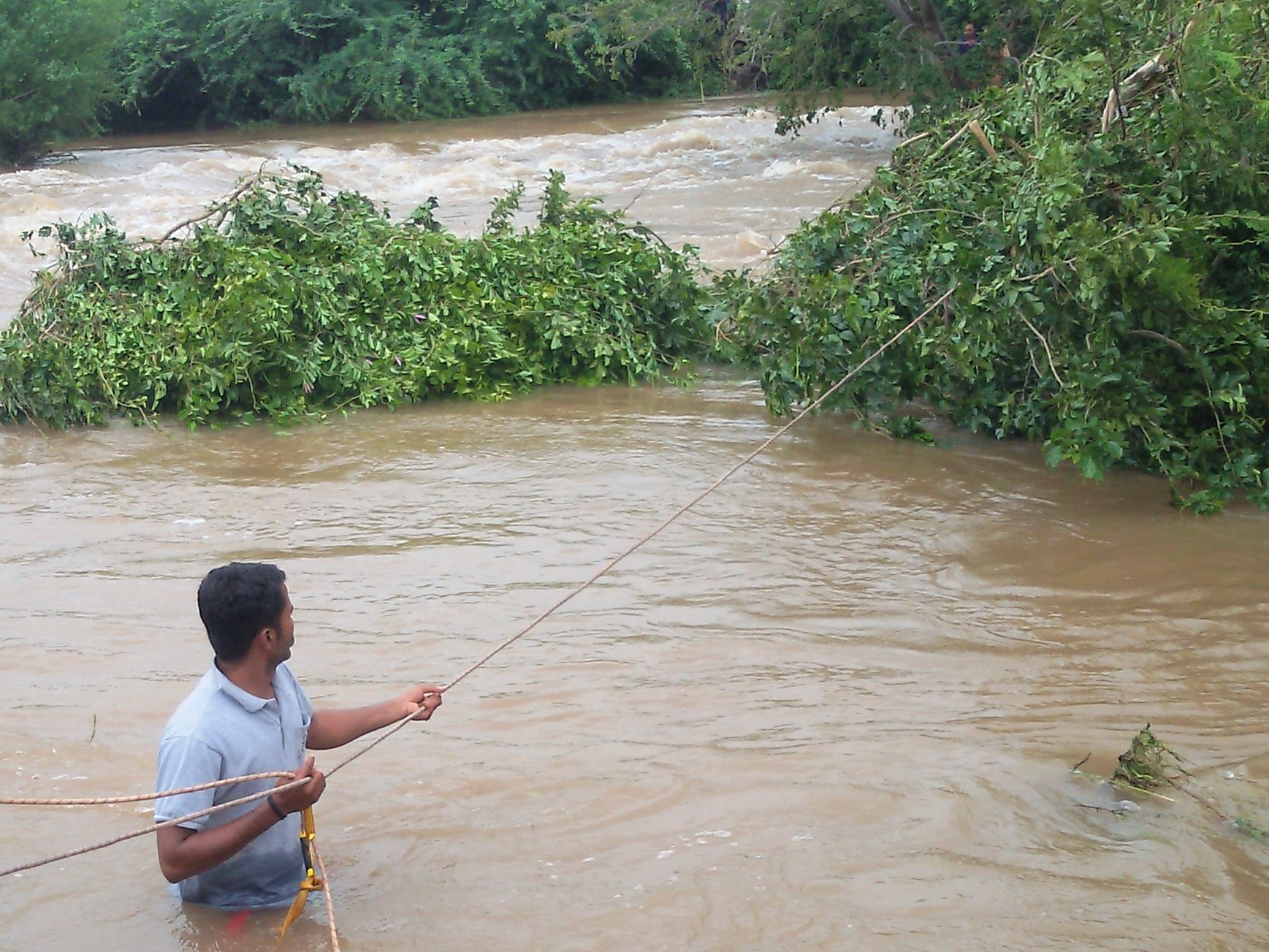 A Daring Rescue From Rising Floodwater - Animal Rahat