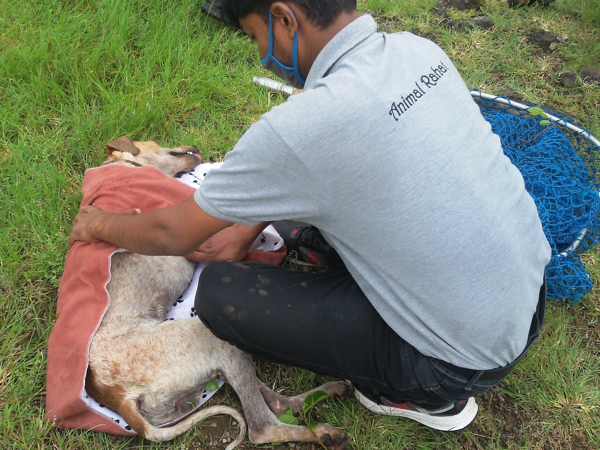 A Daring Rescue From Rising Floodwater - Animal Rahat