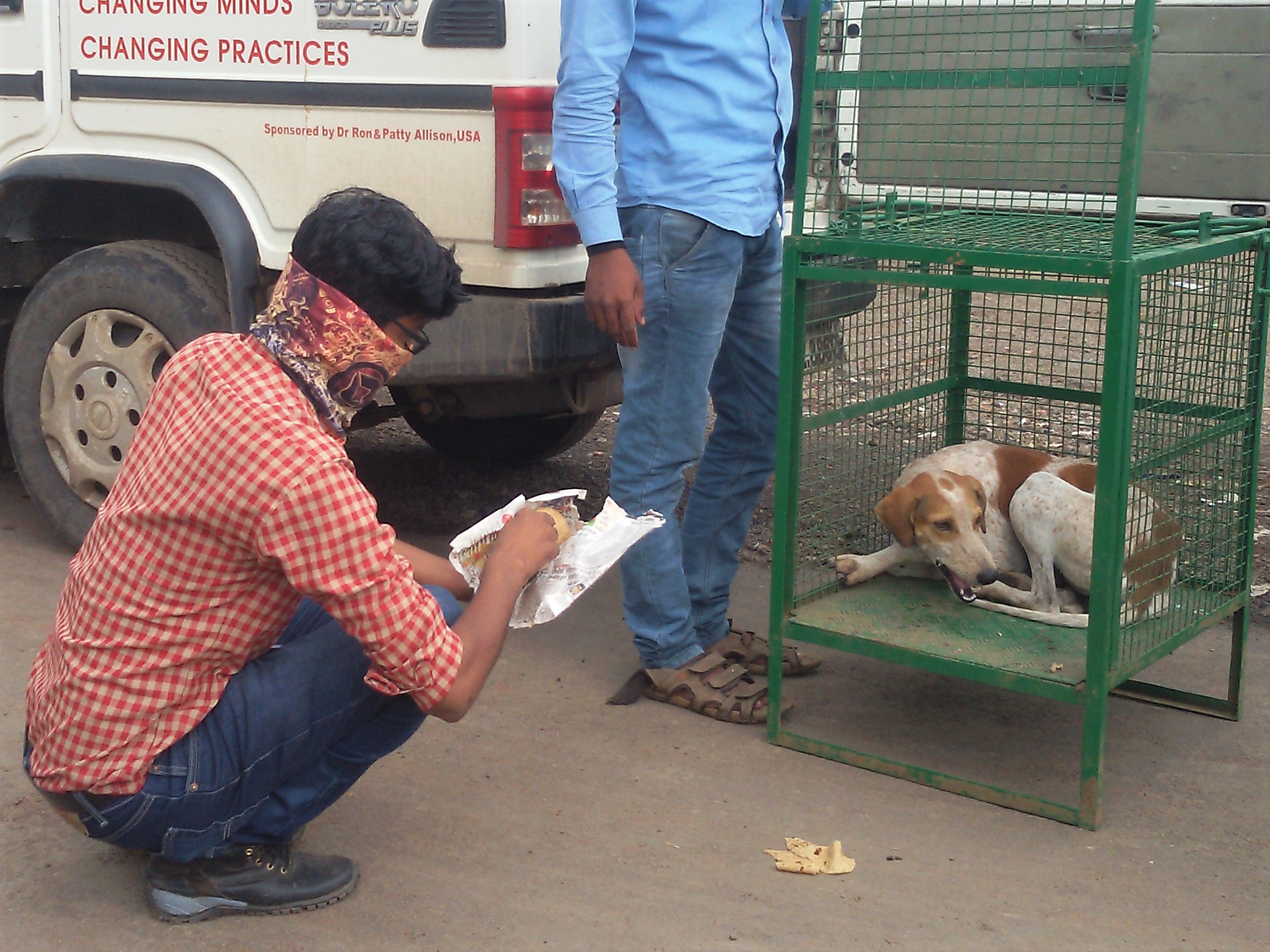 A Daring Rescue From Rising Floodwater - Animal Rahat