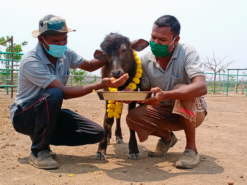 PHOTO GALLERY: Animal Rahat celebrates Holi and Gudi Padwa | Animal Rahat