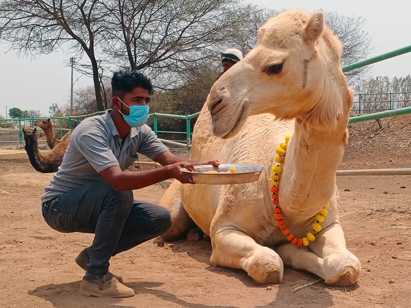 PHOTO GALLERY: Animal Rahat celebrates Holi and Gudi Padwa | Animal Rahat