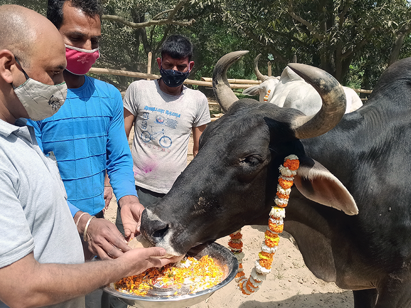 PHOTO GALLERY: Animal Rahat celebrates Holi and Gudi Padwa - Animal Rahat