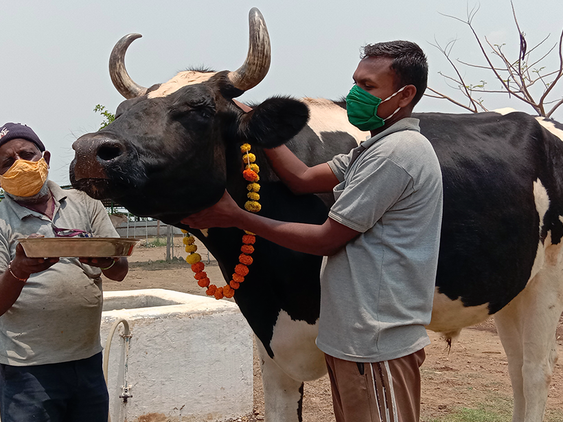 PHOTO GALLERY: Animal Rahat celebrates Holi and Gudi Padwa | Animal Rahat