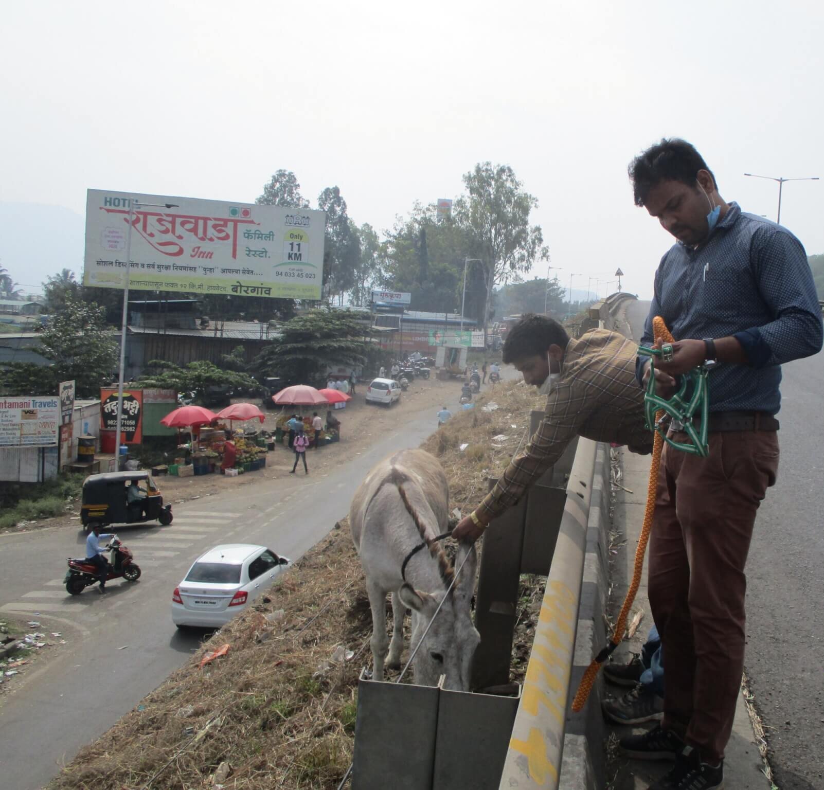 Donkey in Danger: Stuck on a Highway - Animal Rahat