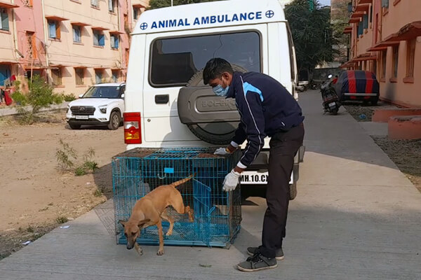 Gasping and Struggling to Breathe - Animal Rahat
