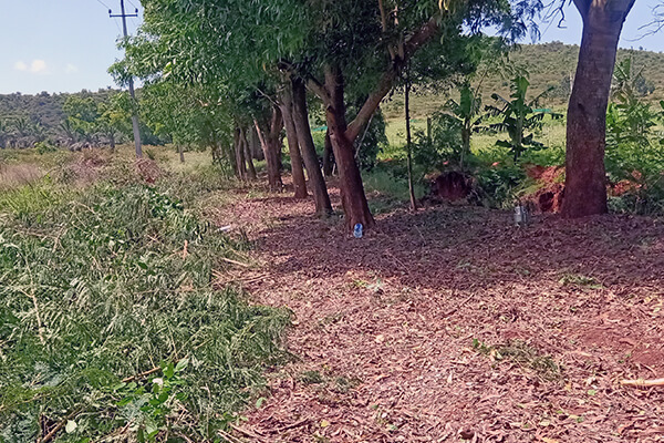 A Super New Sanctuary: Rescued Animals Will Enjoy 25 Acres of Grass and ...