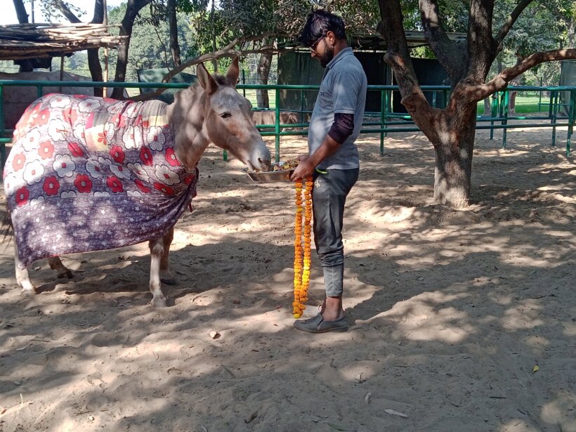 BIG WIN: Retired Animals Hit the Jackpot | Animal Rahat