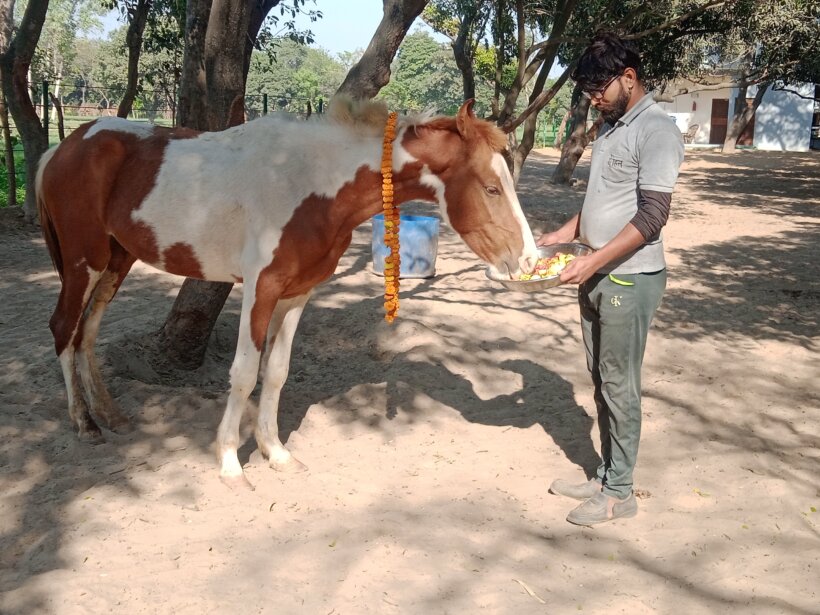 BIG WIN: Retired Animals Hit the Jackpot | Animal Rahat