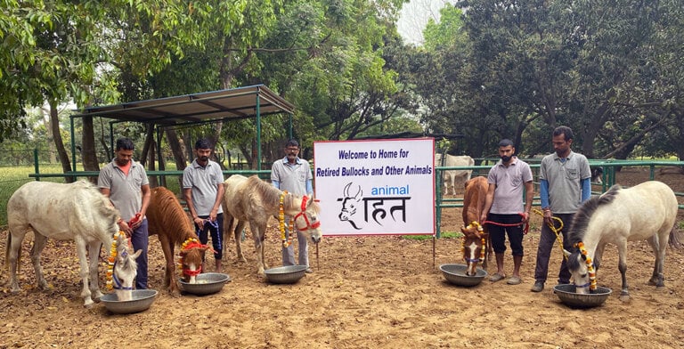 Mechanization Saves Lives - Animal Rahat