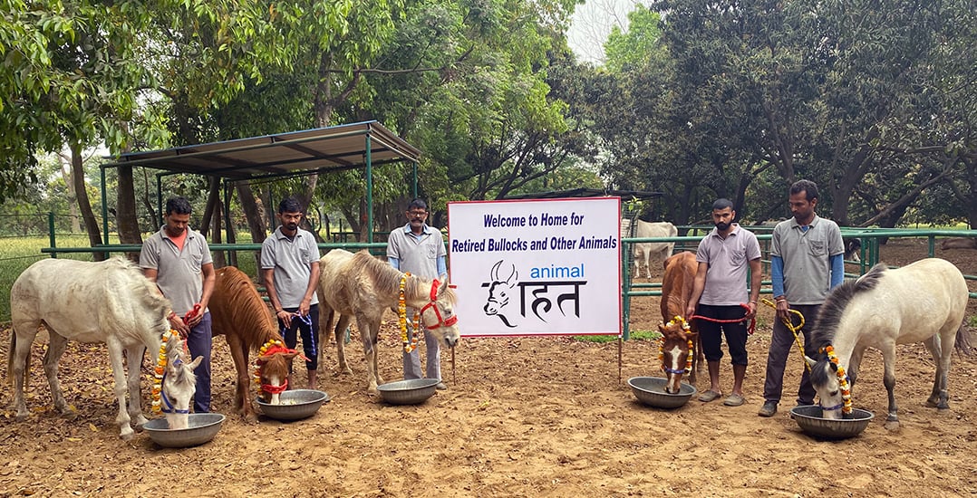 Mechanization Saves Lives - Animal Rahat