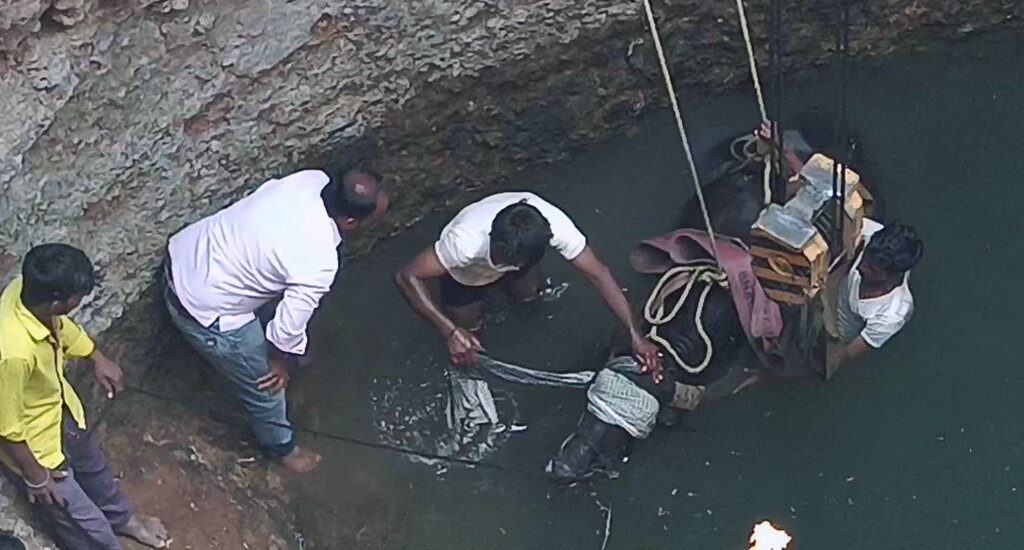 Look Who Was Pulled From the Depths! | Animal Rahat