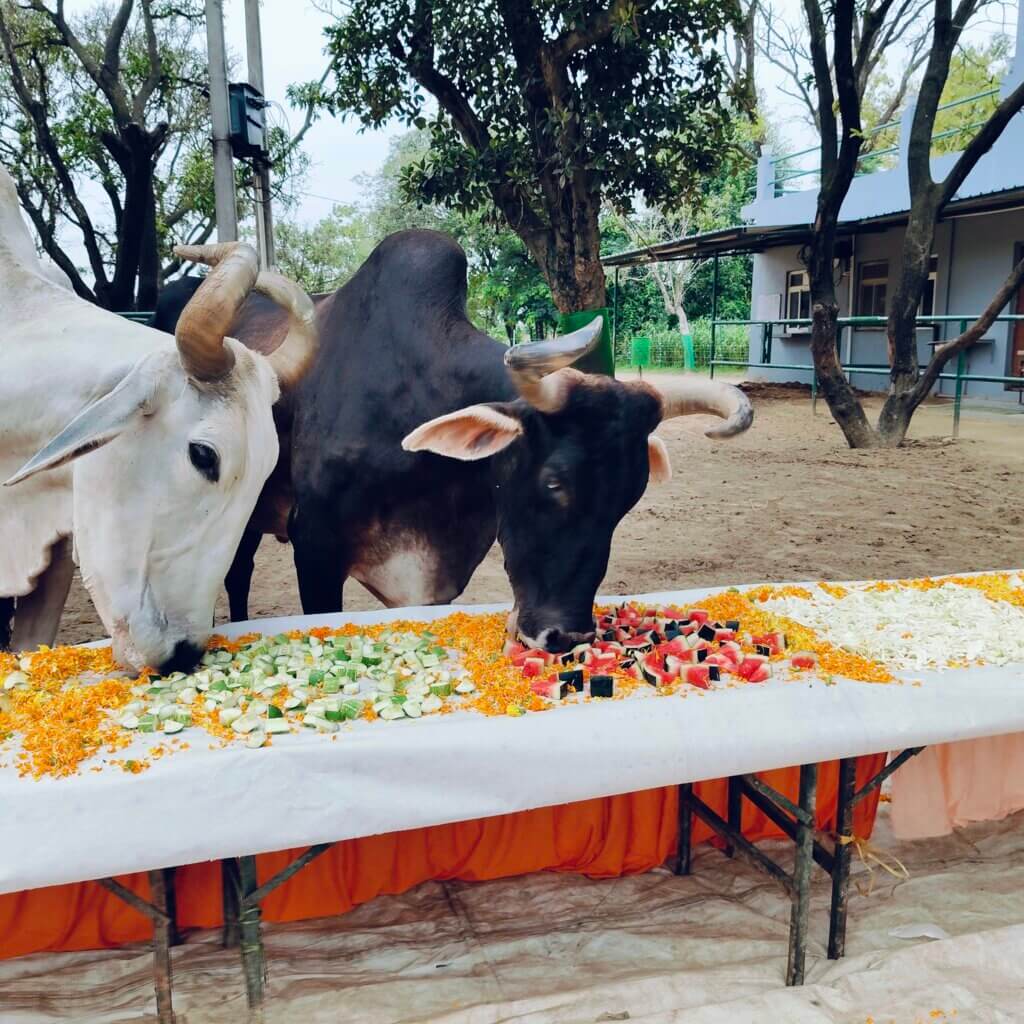 Ranapur Residents Celebrate Raksha Bandhan With the Family They’d Been ...