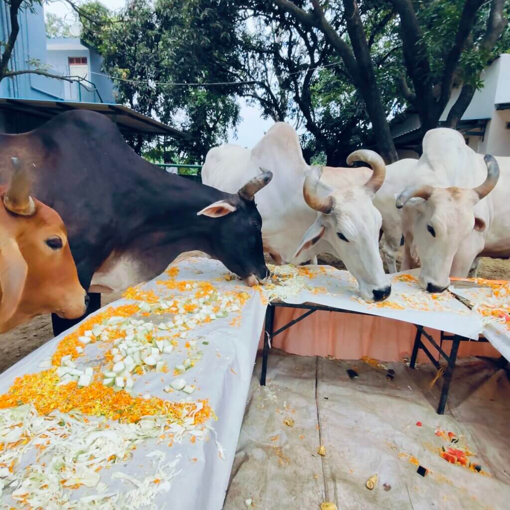 Ranapur Residents Celebrate Raksha Bandhan With the Family They’d Been ...